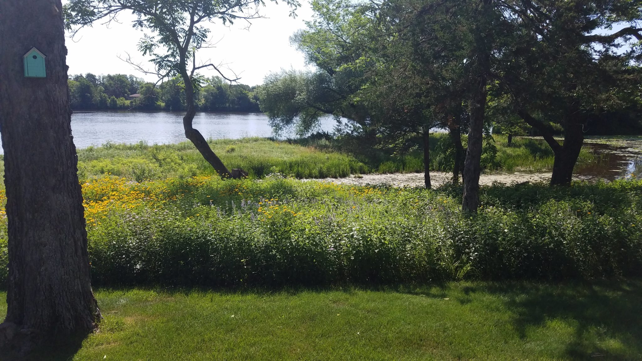 Our Projects – Upper Minnesota River Watershed District
